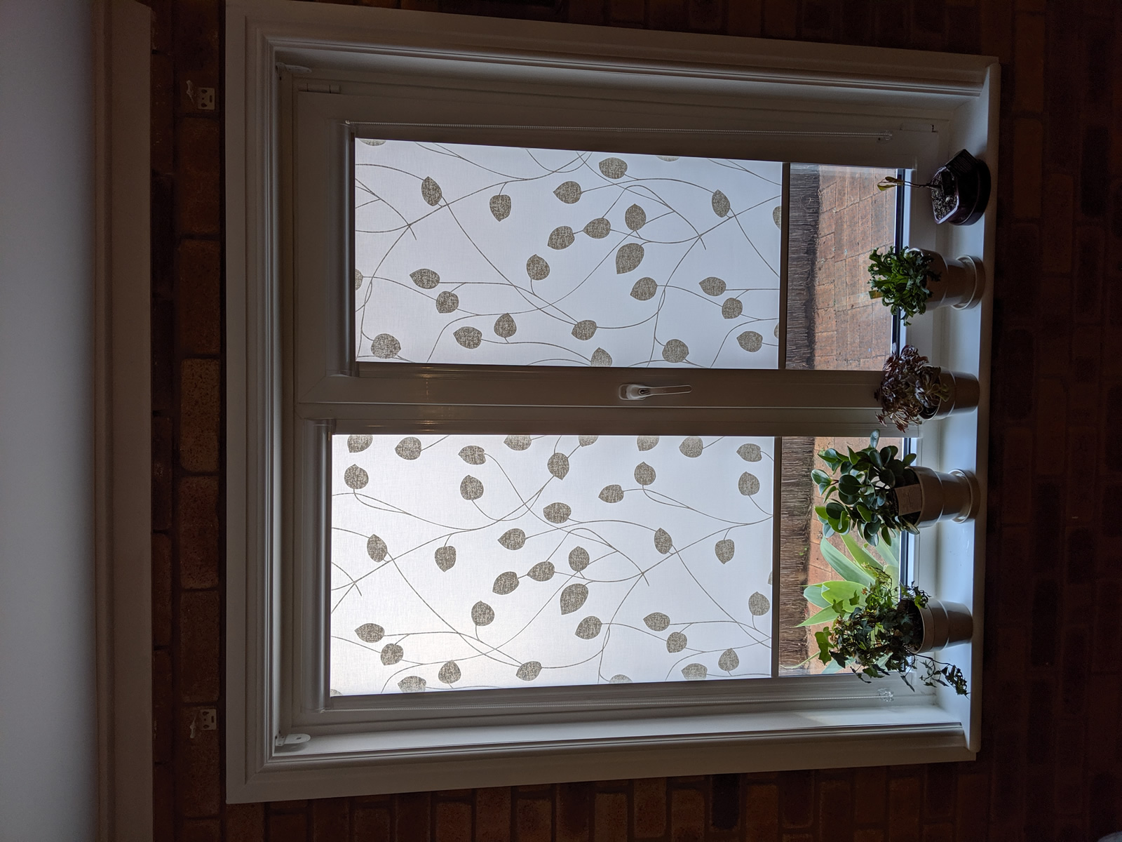 Custom Windows Blinds | Window Plus